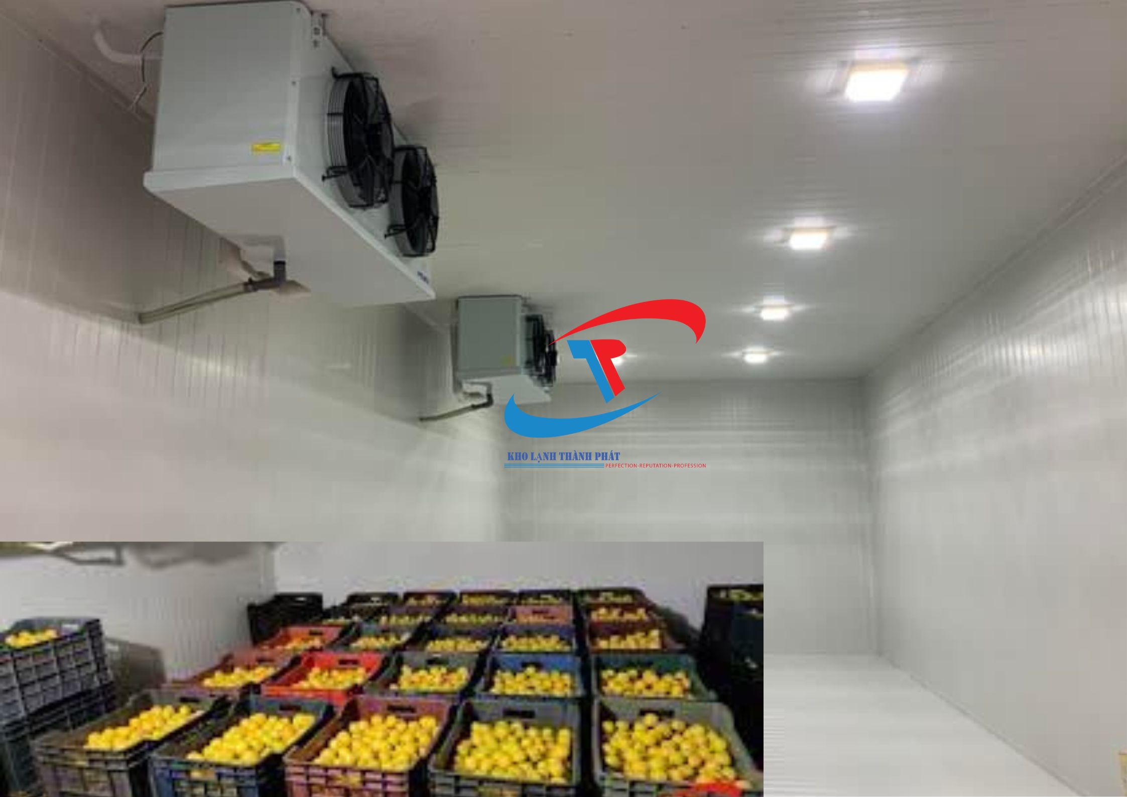 [Kho Mát ] - Kho Lạnh Bảo Quản Rau Tươi.